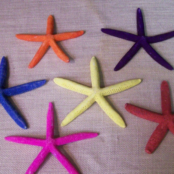 Starfish Decorations - Etsy