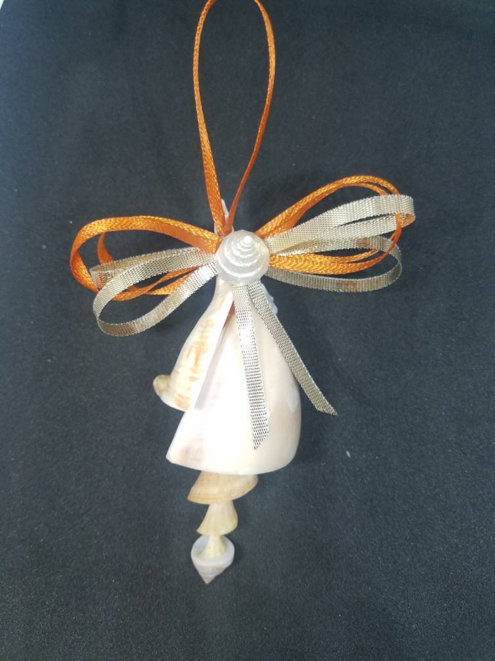 Spiral Cut Conch Shell Ornament Spiral Cut Lambis Seashell - Etsy