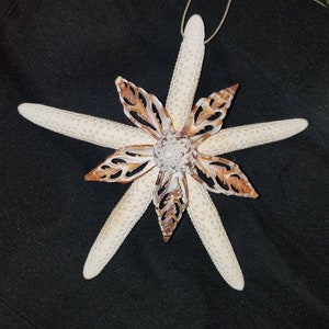 Starfish Ornament Unique Starfish Seashells and Starfish - Etsy