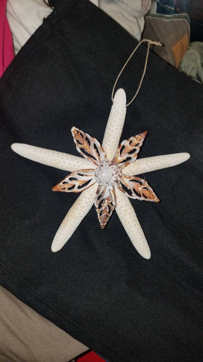 Starfish Ornament Unique Starfish Seashells and Starfish - Etsy