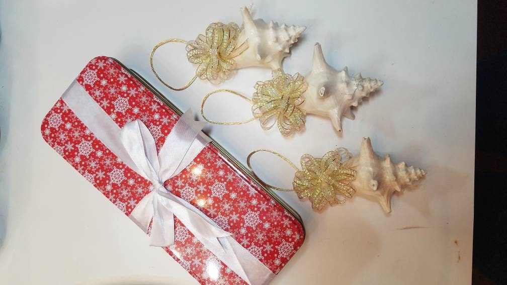 Conch Shell Ornament, Conch Shell, Glitter Conch Shell, Coastal Decor ...