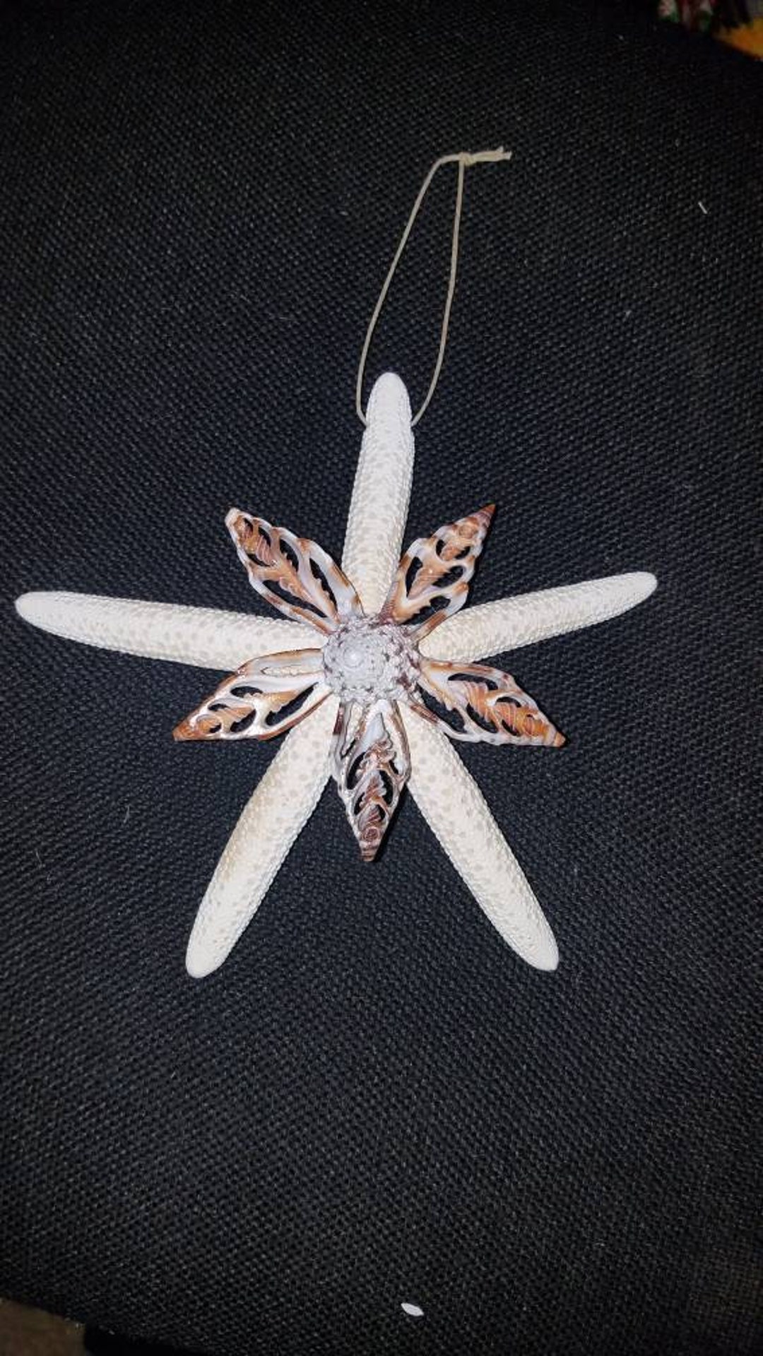 Starfish Ornament Unique Starfish Seashells and Starfish - Etsy