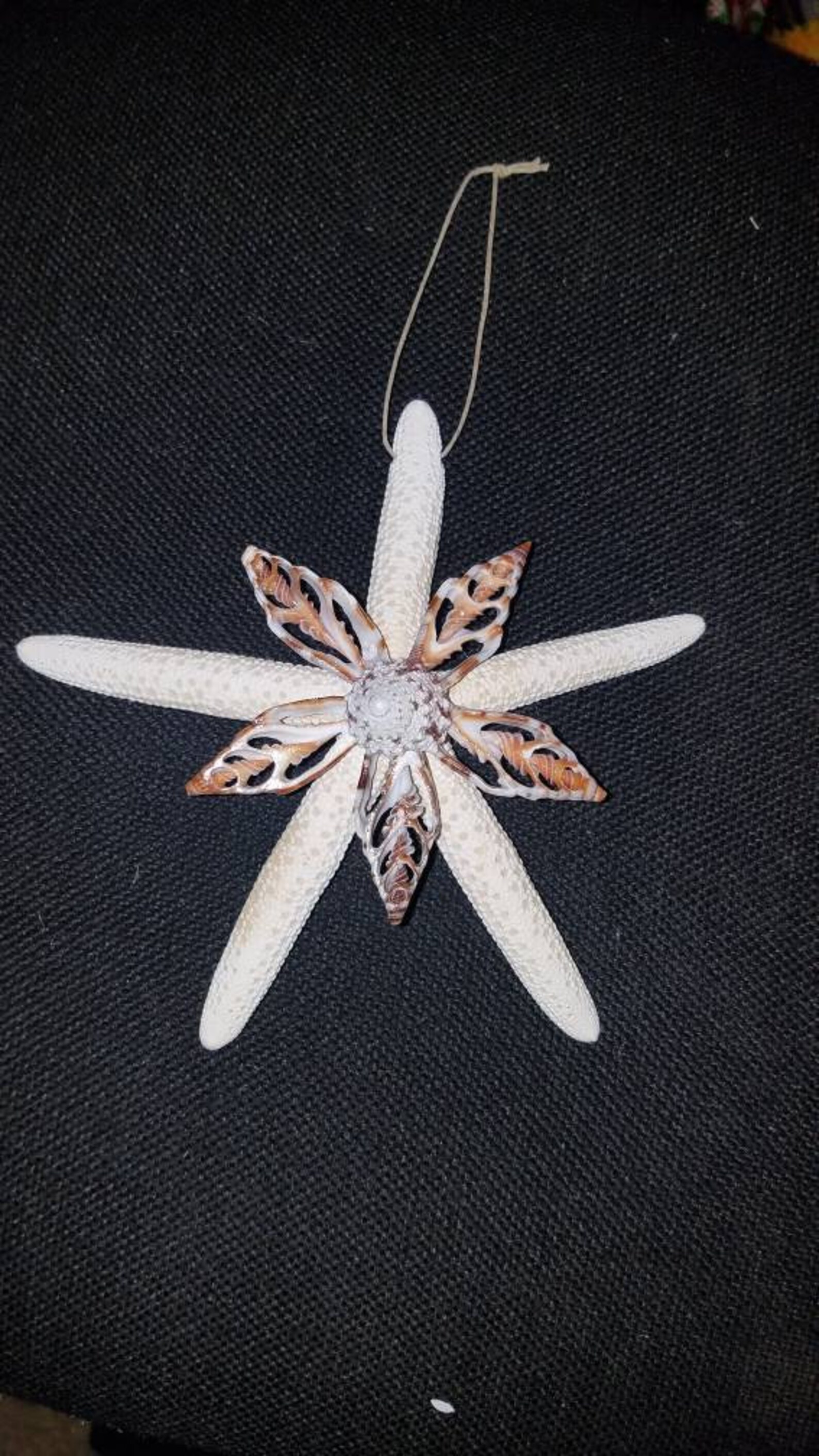 Starfish Ornament Unique Starfish Seashells and Starfish - Etsy
