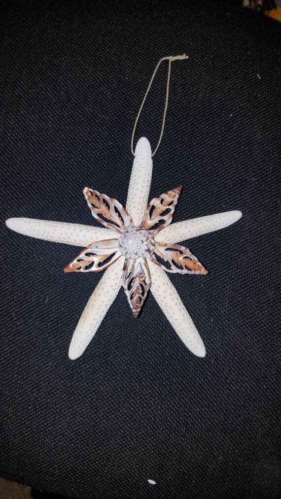 Starfish Ornament Unique Starfish Seashells and Starfish | Etsy