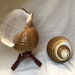 Large Wood Display Stand I Large Wooden Display Stand I Conch Shell ...