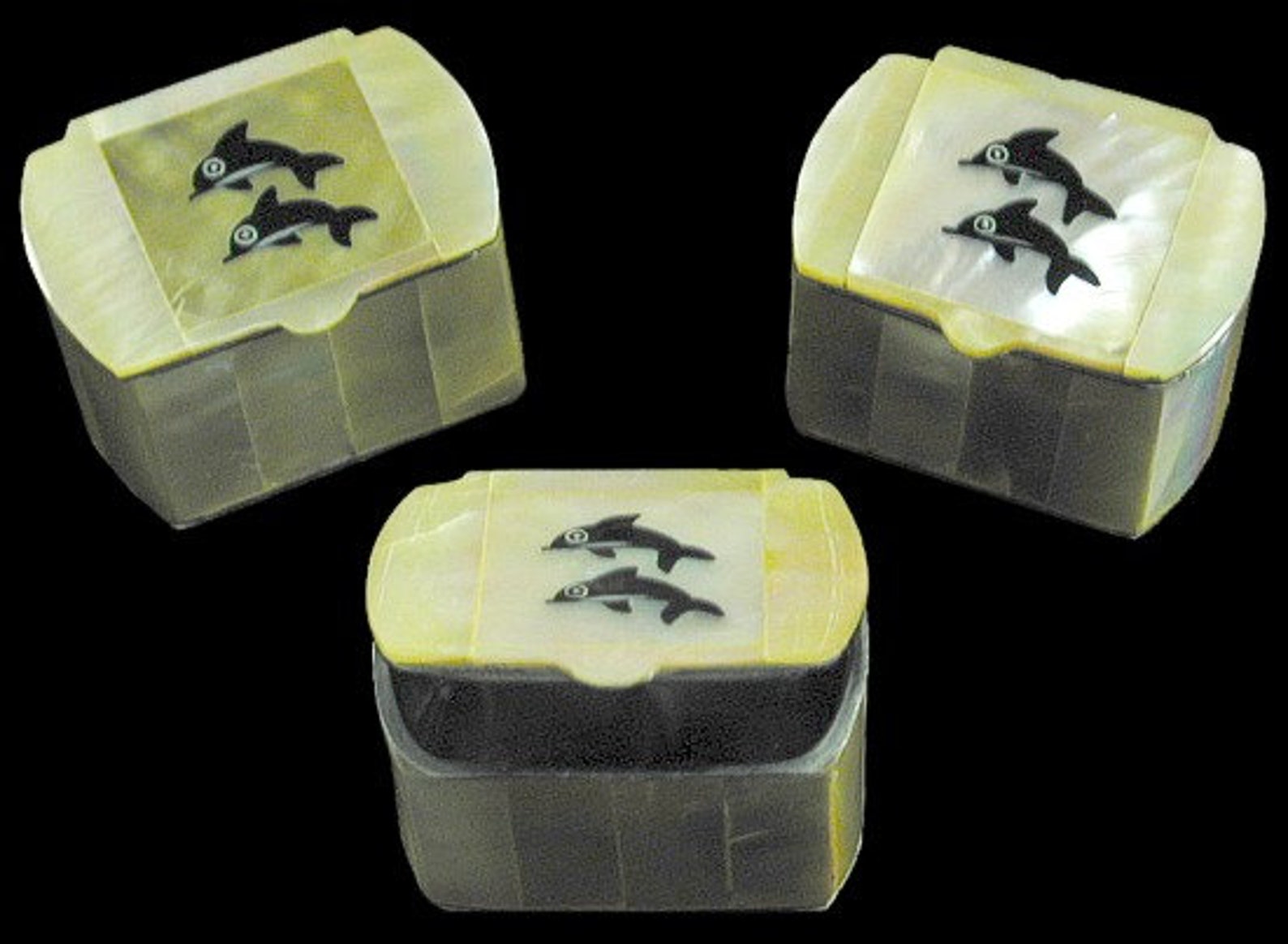 Seashell Pill Box I Seashell Pill Box I Seashell Ring Holder I - Etsy