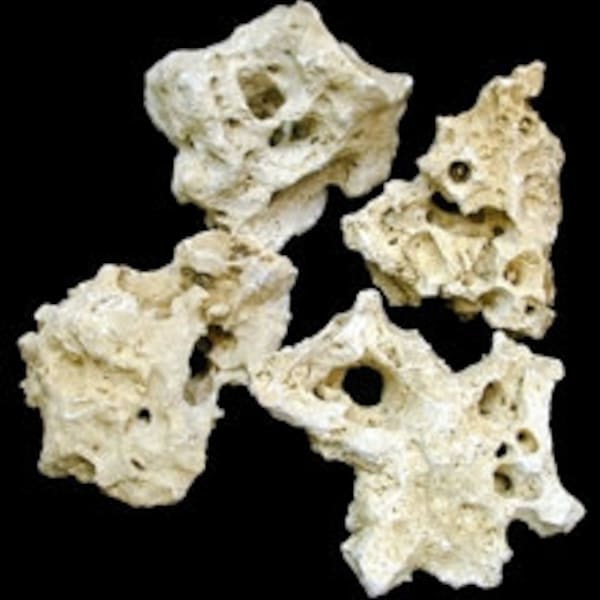 Fish Tank Decor - Etsy