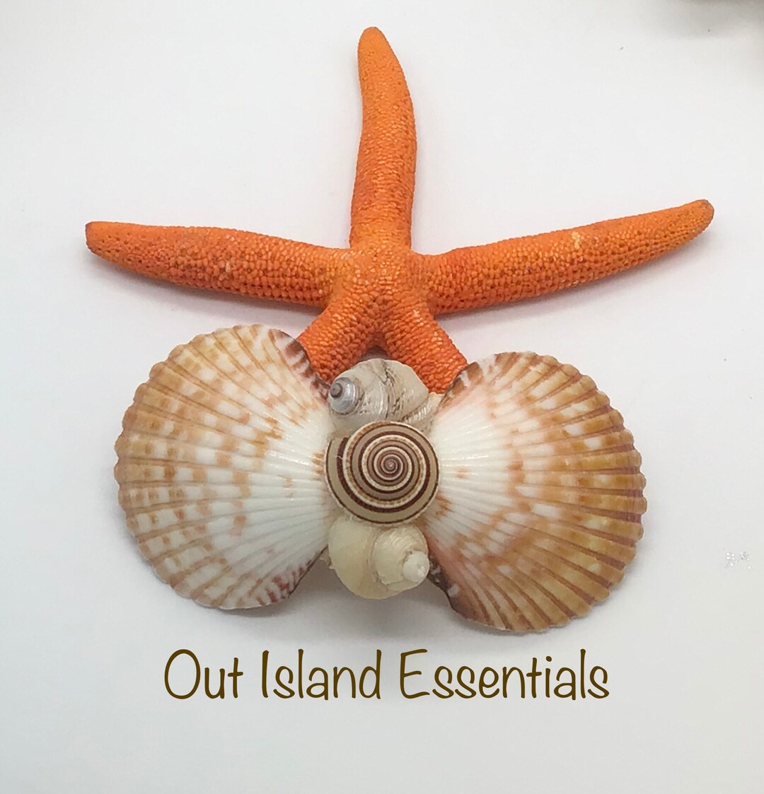 Seashell Hair Clip I Mermaid Hair Clip I Clam Shell Hair Clip I Coastal ...