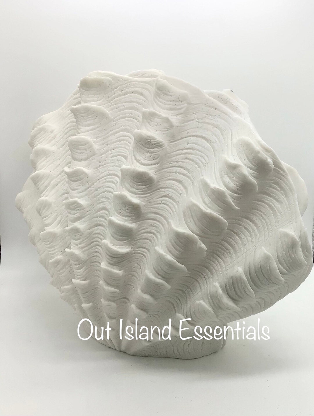 Colossal Coastal Light I Stunning Shell Light I Extra Large Shell Light ...