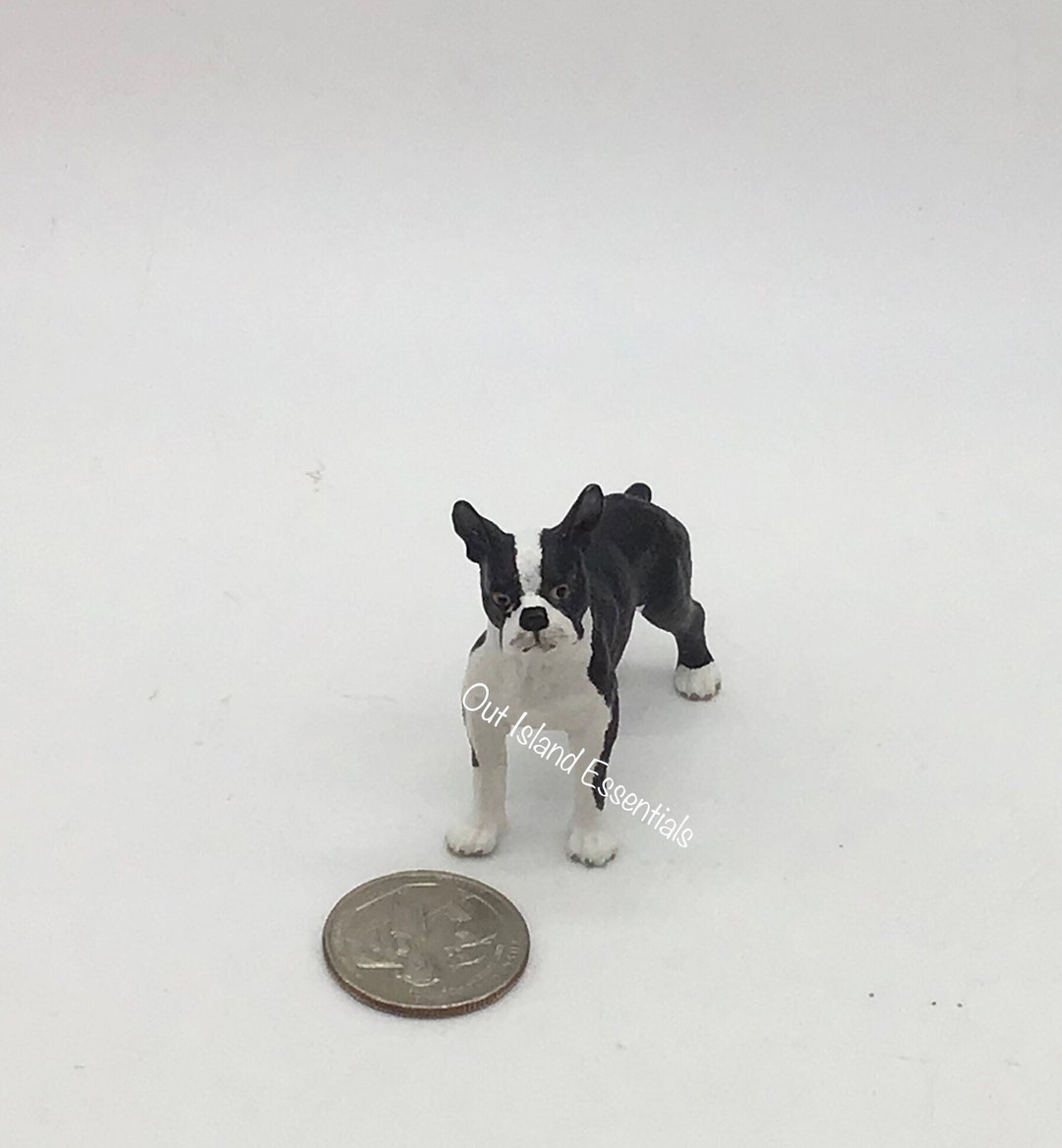 Miniature Boston Terrier Dog I Dollhouse Miniature Pet I Miniature ...