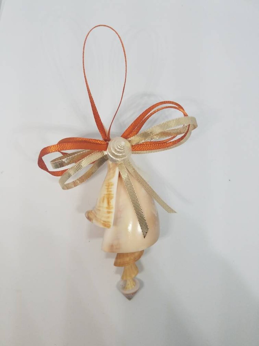 Spiral Cut Conch Shell Ornament, Spiral Cut Lambis Seashell, Seashell ...