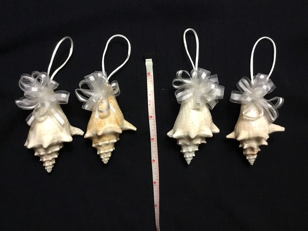 Mini Conch Shell Christmas Ornament I Seashell Christmas Ornament I ...