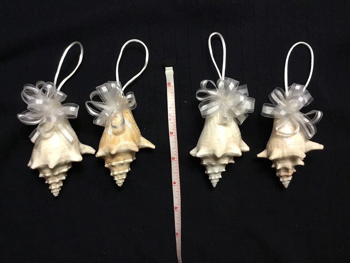 Mini Conch Shell Christmas Ornament I Seashell Christmas | Etsy