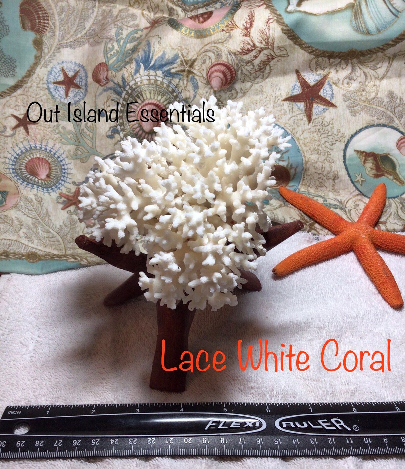 Lace Coral I White Lace Coral I Authentic Ocean Coral I Two | Etsy