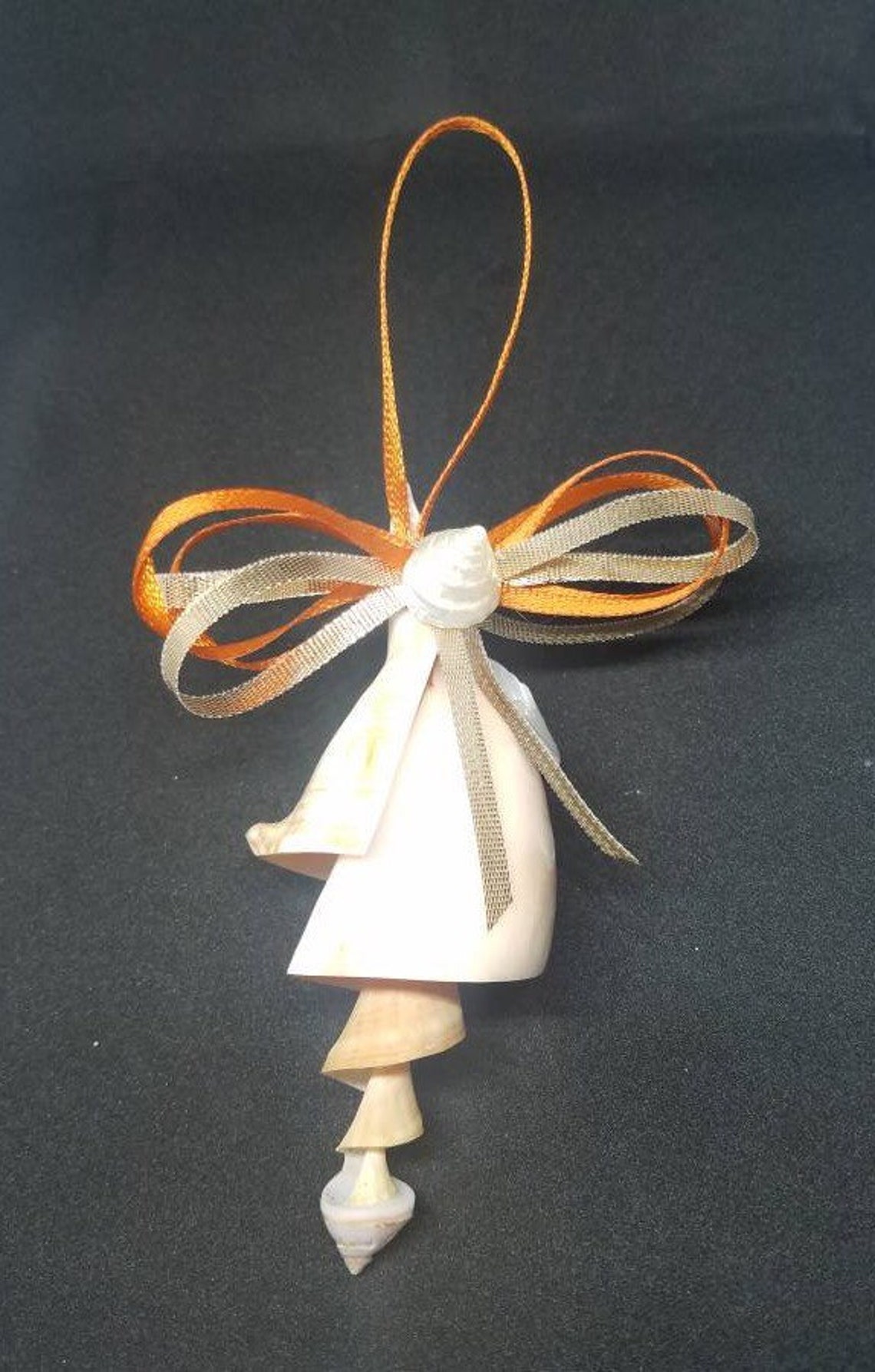 Spiral Cut Conch Shell Ornament Spiral Cut Lambis Seashell - Etsy