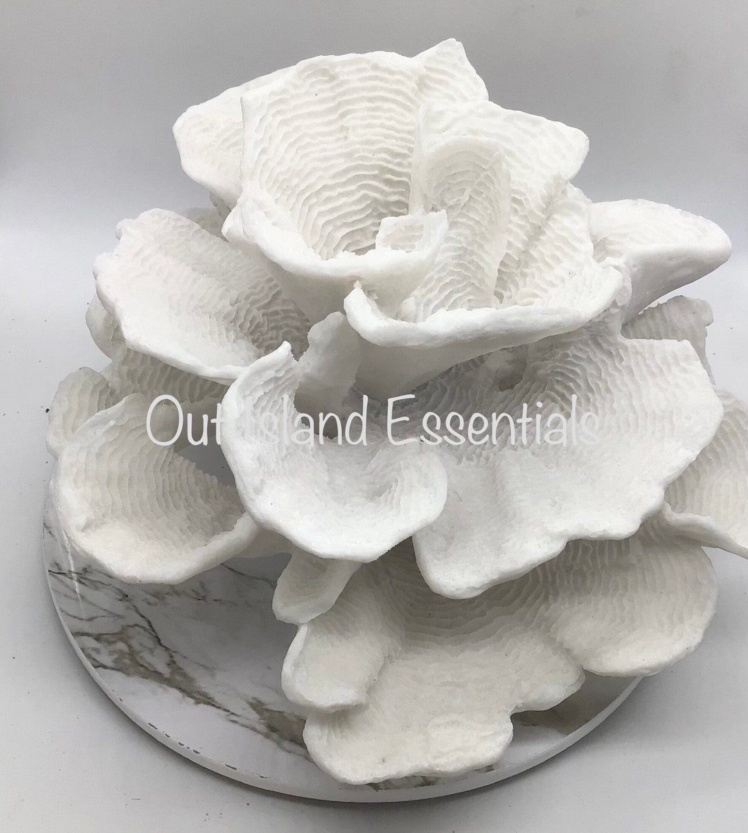 Faux Cup Coral Display | Coral Decoration | Eco Friendly Coral ...