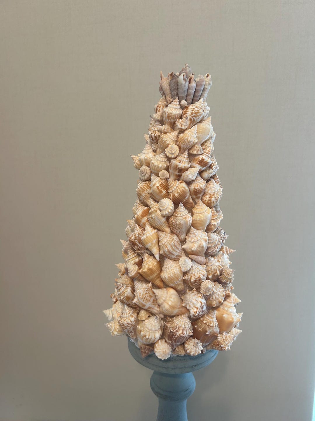 Conch Shell Tree/topiary, 12 Inches Tall - Etsy