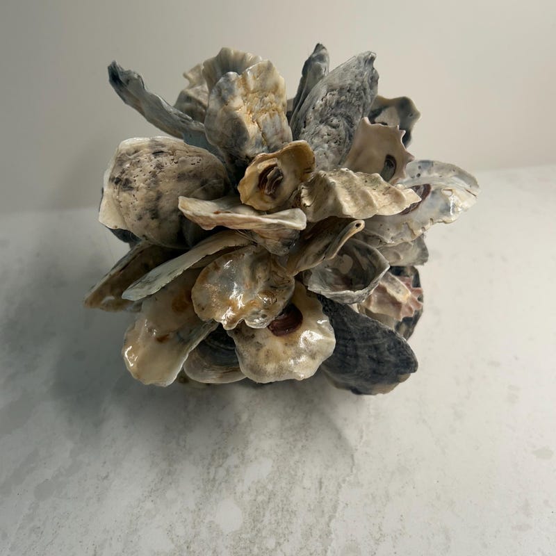 Oyster Shell Ball - Etsy