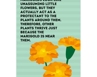 Teacher Gift You Are A Marigold Print Marigold Greeting Card Hand ...