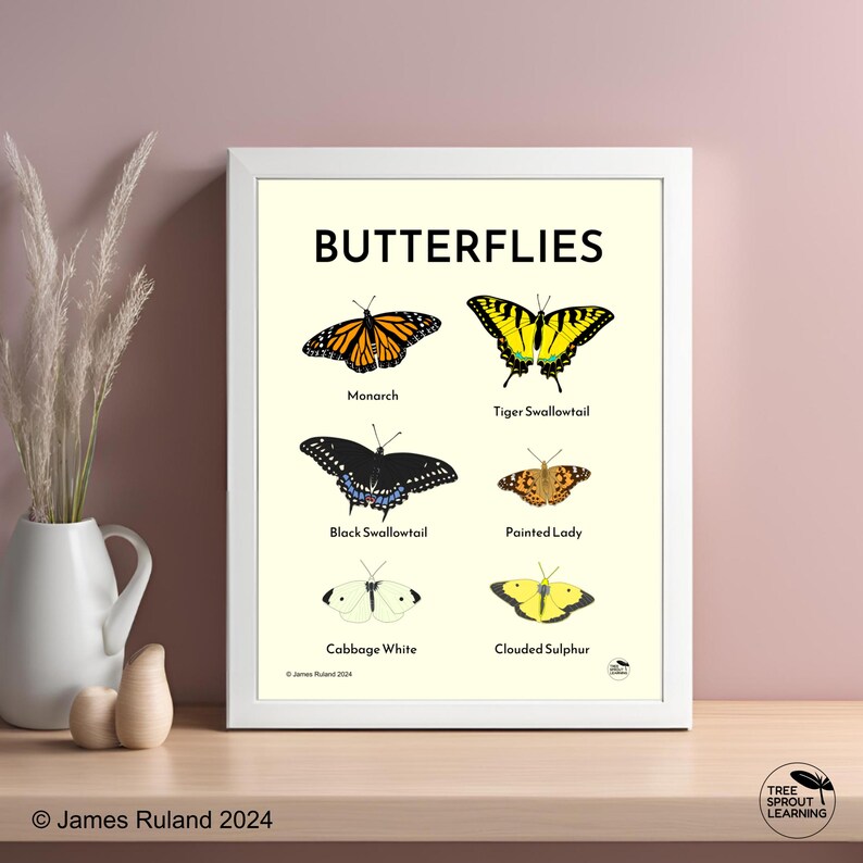 10 Printable Educational Posters - Nature Series - Full Color and ...