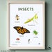 10 Printable Educational Posters - Nature Series - Full Color and ...
