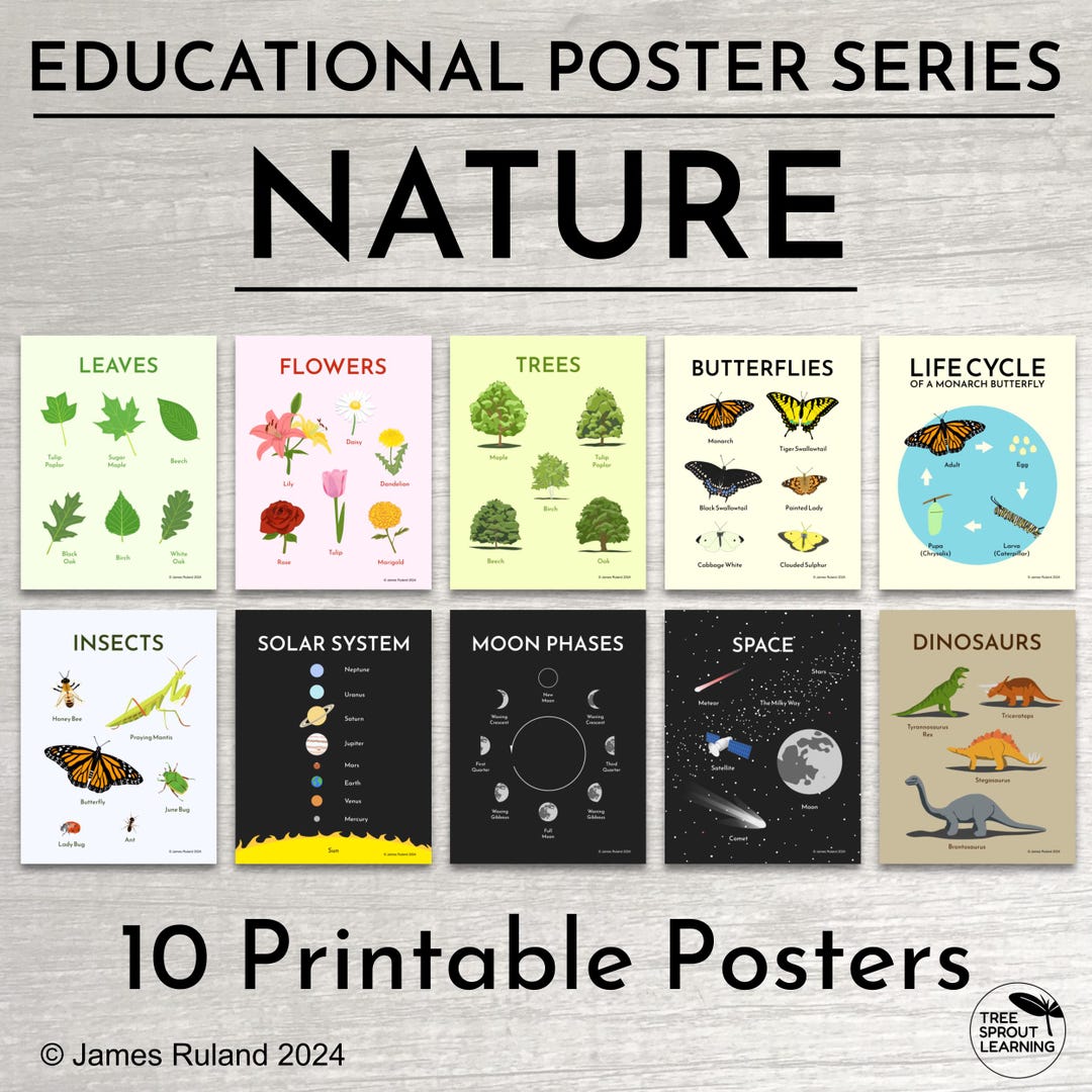 10 Printable Educational Posters - Nature Series - Full Color and ...