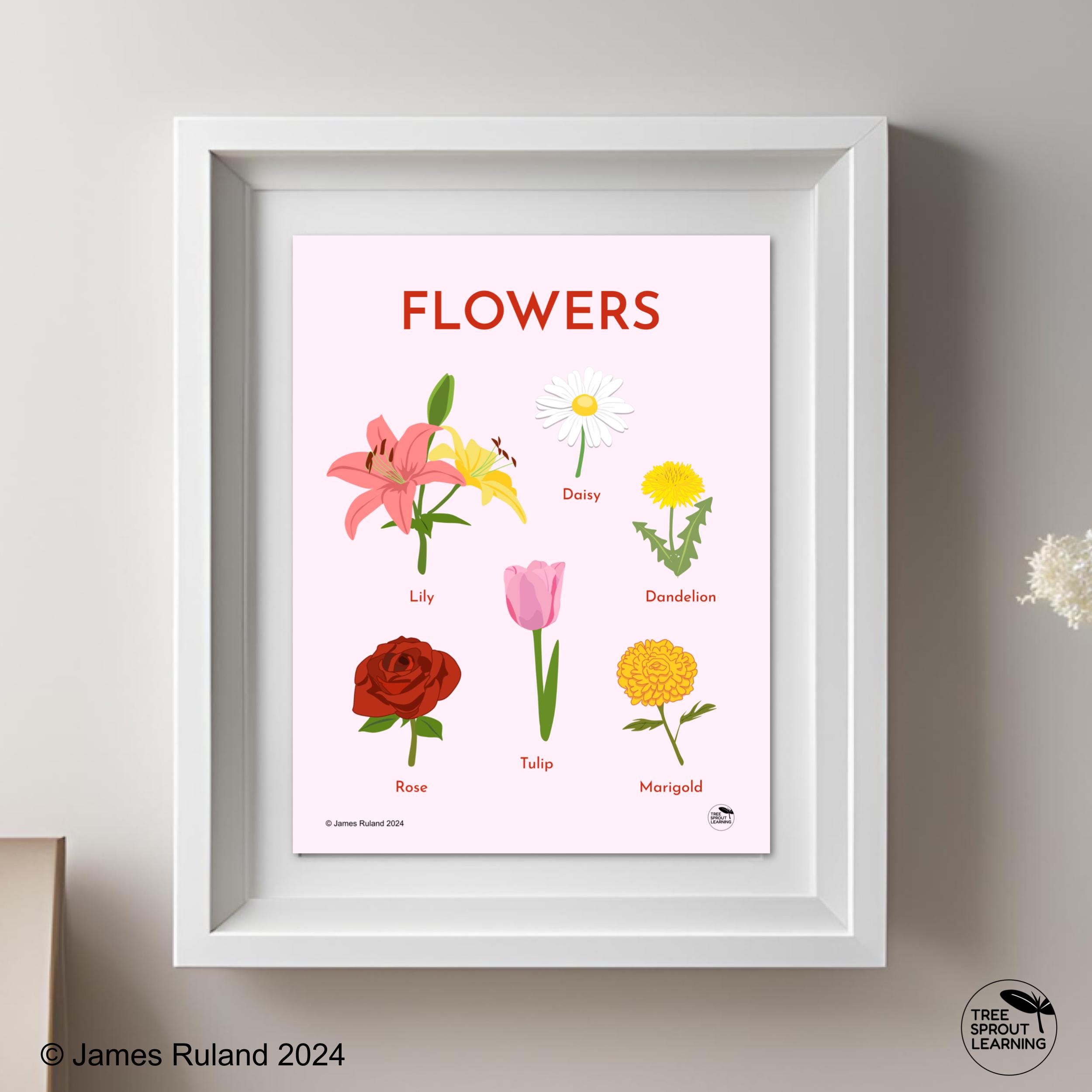10 Printable Educational Posters - Nature Series - Full Color and ...