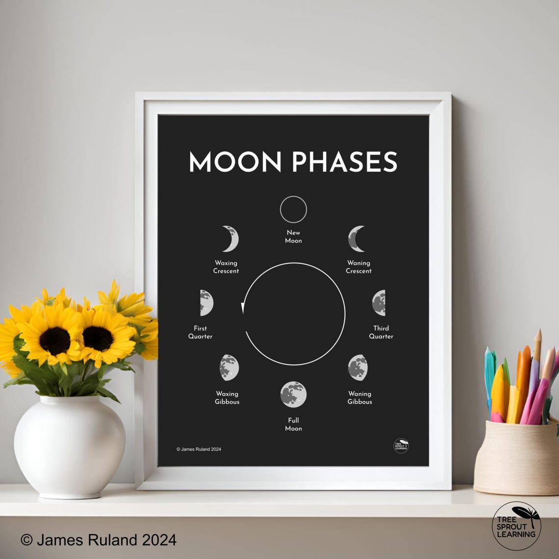 10 Printable Educational Posters - Nature Series - Full Color and ...