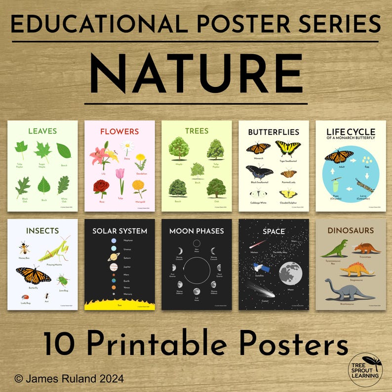 10 Printable Educational Posters - Nature Series - Full Color and ...