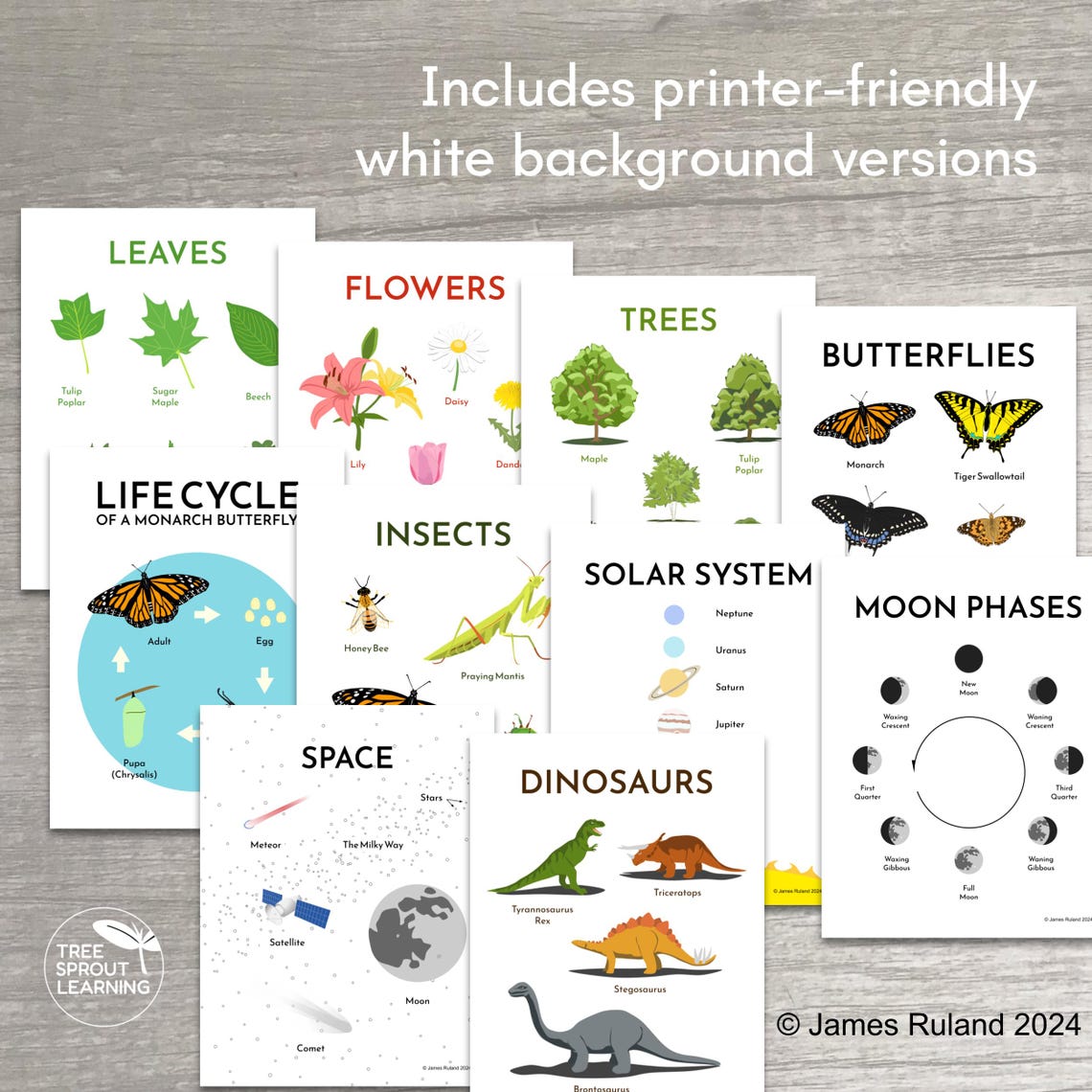 10 Printable Educational Posters - Nature Series - Full Color and ...