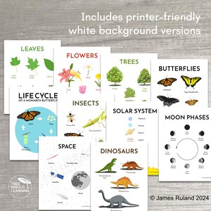 10 Printable Educational Posters - Nature Series - Full Color and ...