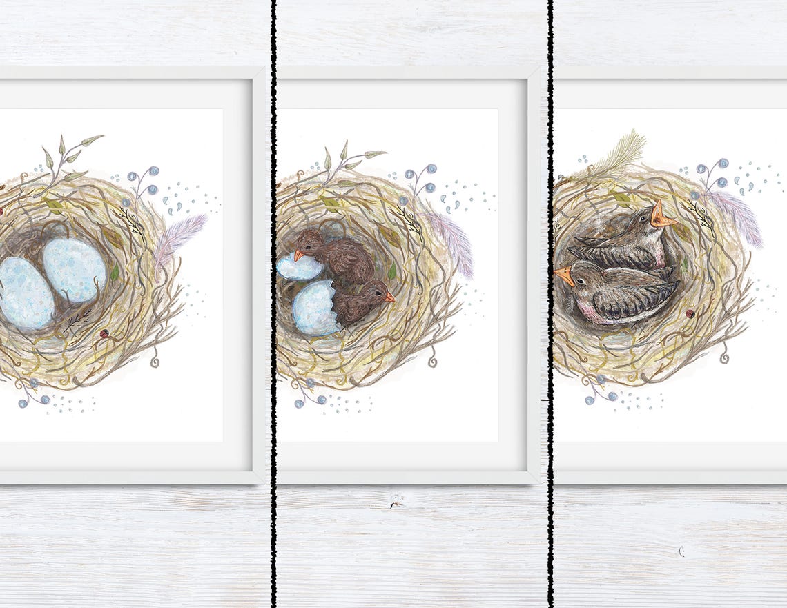 Bird Art Set Gallery Wall Set Bird Nursery Art Nursery Decor Bird Lover ...