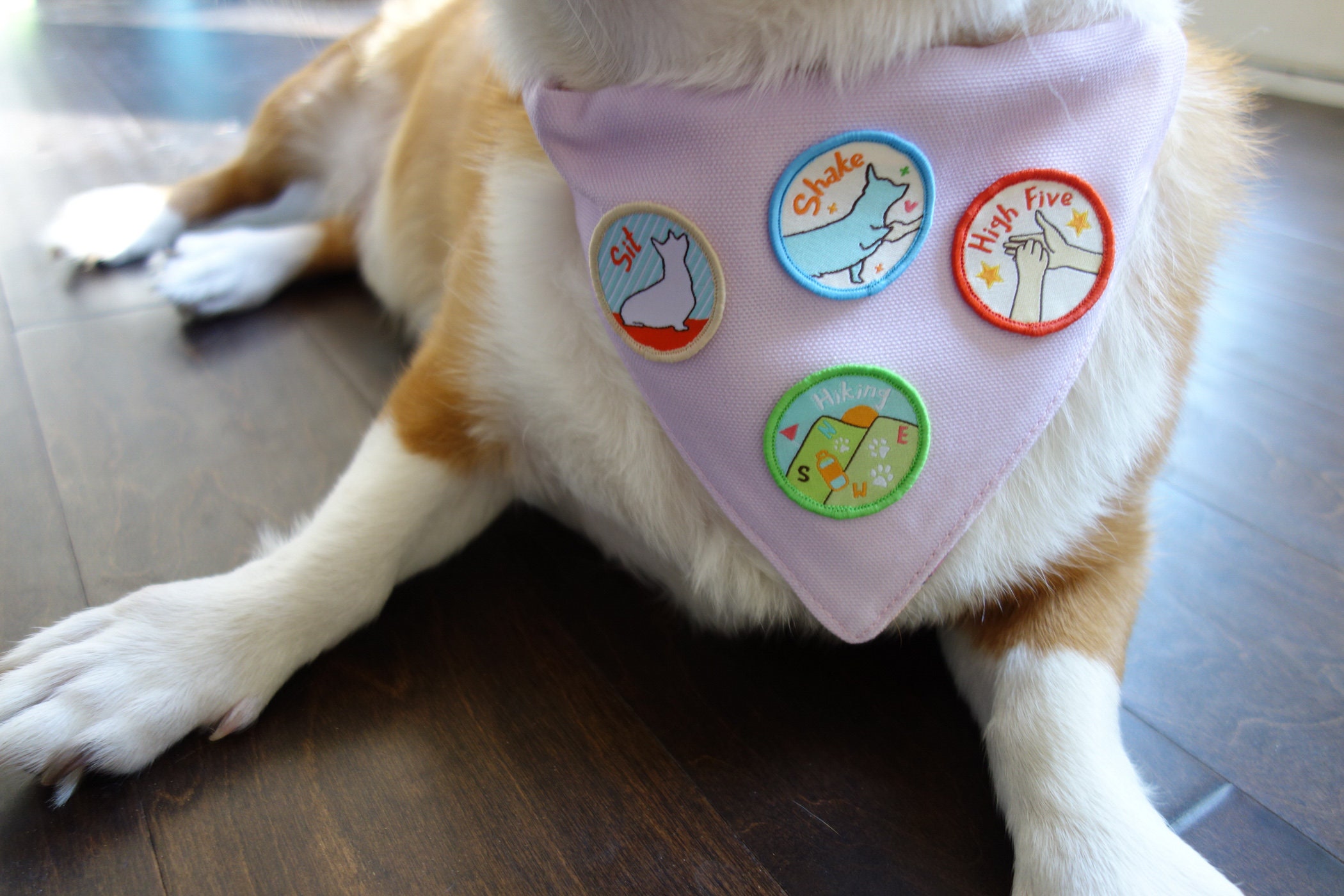 High Five | Dog Merit Badge, Iron on Embroidered Patch, Dog Scout ...