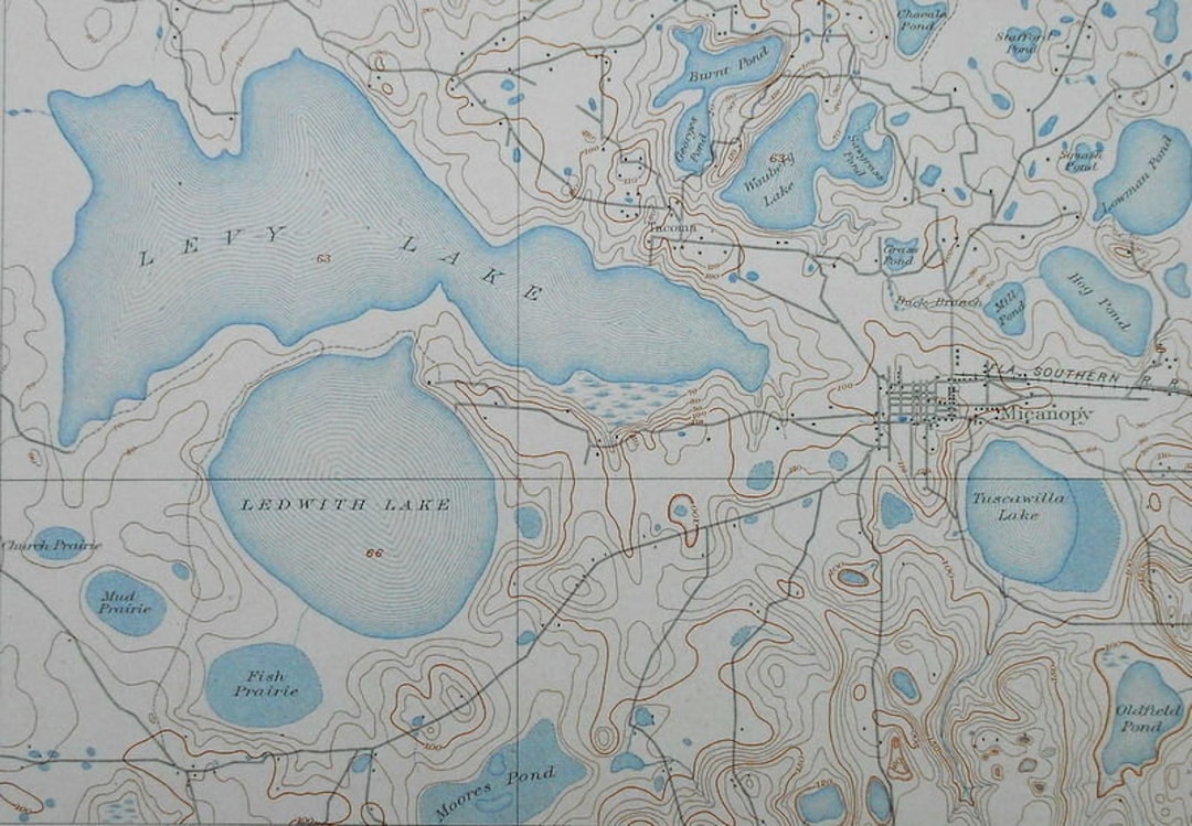 1908 Micanopy, Florida Antique Map--lakes: Levy, Ledwith, Tuscawilla ...