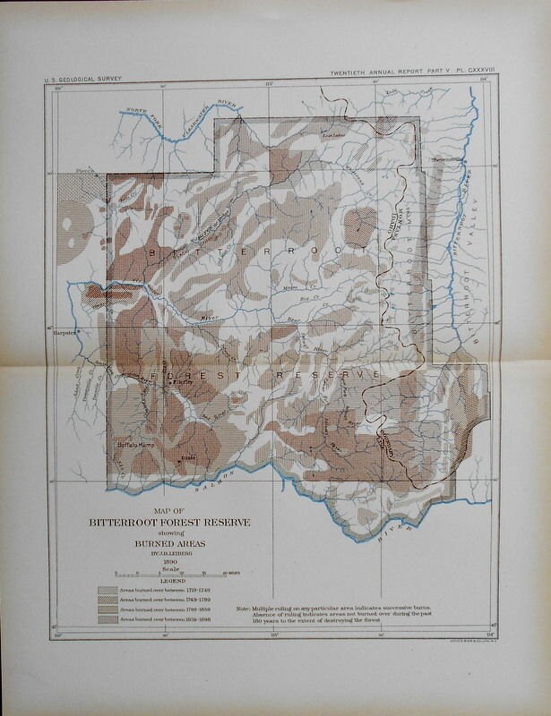 1900 Bitterroot Forest Reserve Map Showing Burned Areas. Dixie, Elk ...