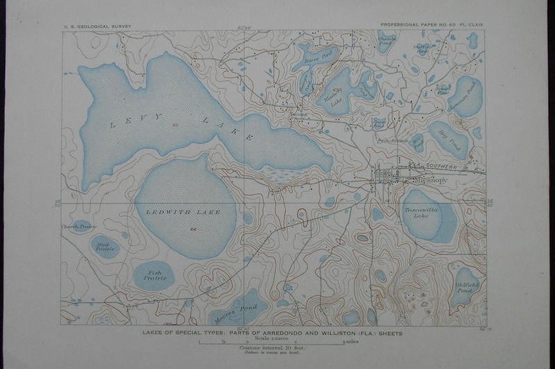 1908 Micanopy, Florida Antique Map--lakes: Levy, Ledwith, Tuscawilla ...
