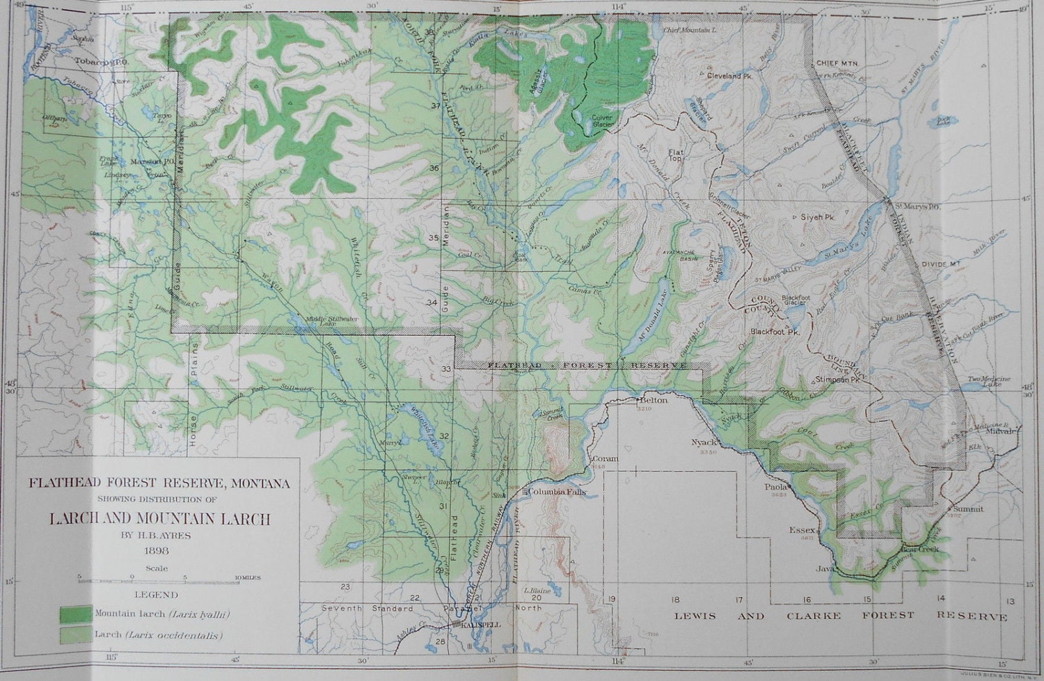 1900 Map: Flathead Forest Reserves Montana MT. Larch and Mountain Larch ...