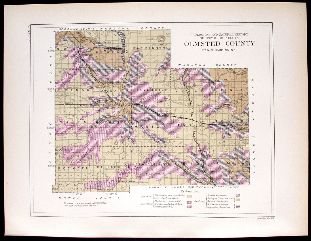 1901 Olmstead County Minnesota MN Oronoco Potsdam Genoa Douglas ...