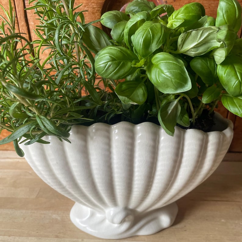 Vintage Sylvac Clam Shell Vase/planter, C1950s - 1960s. - Etsy Australia