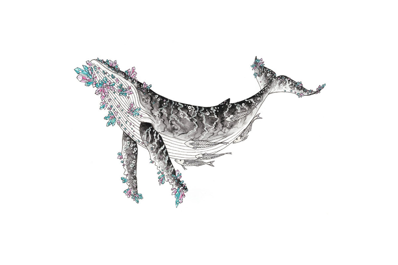 Crystal Whale Artist Print. Humpback Whale Illustration. | Etsy