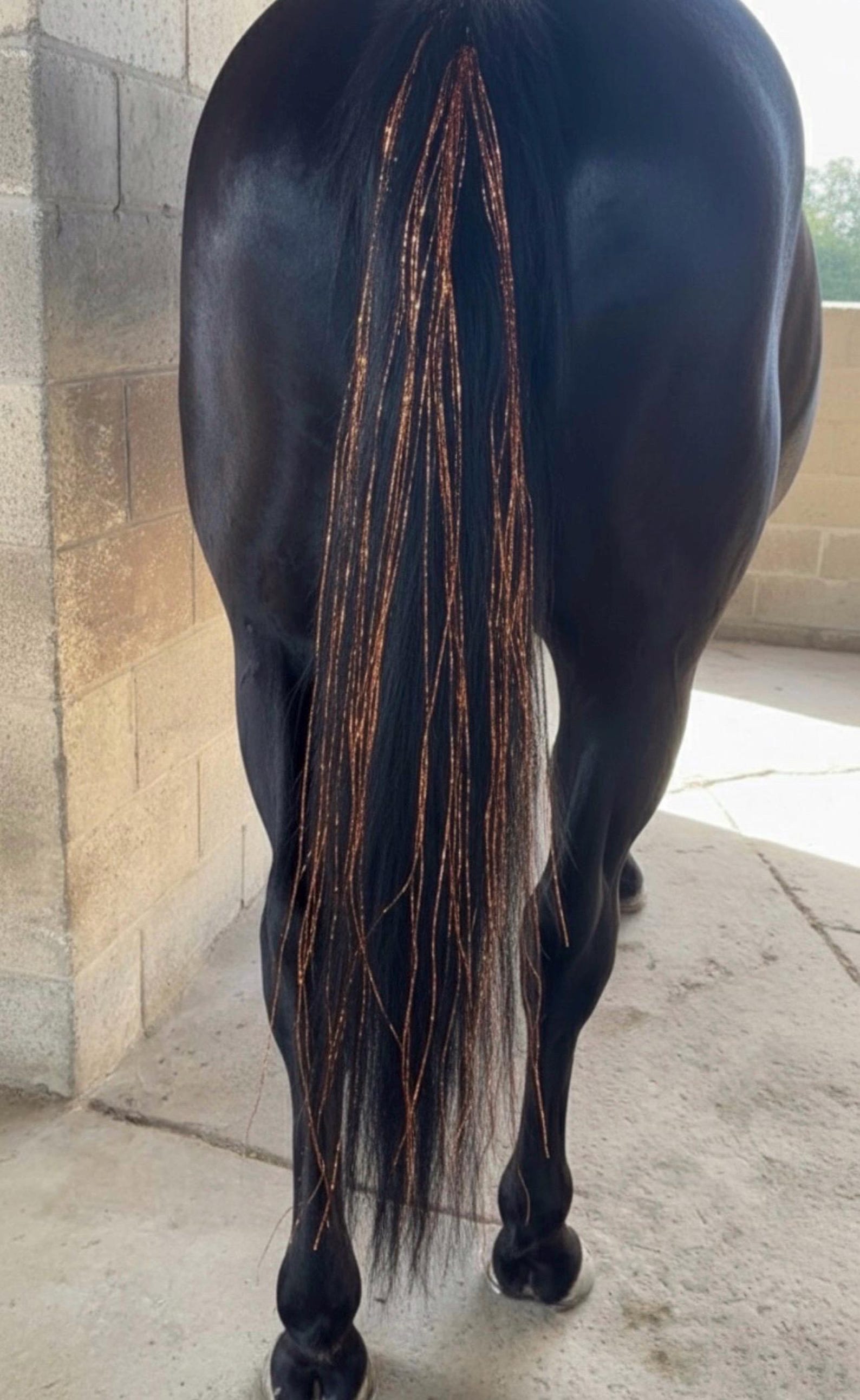 Sparkling Pony Hair Tinsel – Mane & Tail Bling for Western Brides and ...