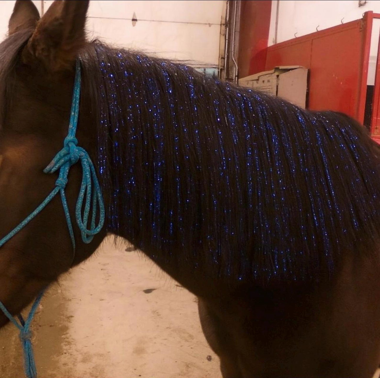 Sparkling Pony Hair Tinsel – Mane & Tail Bling for Western Brides and ...