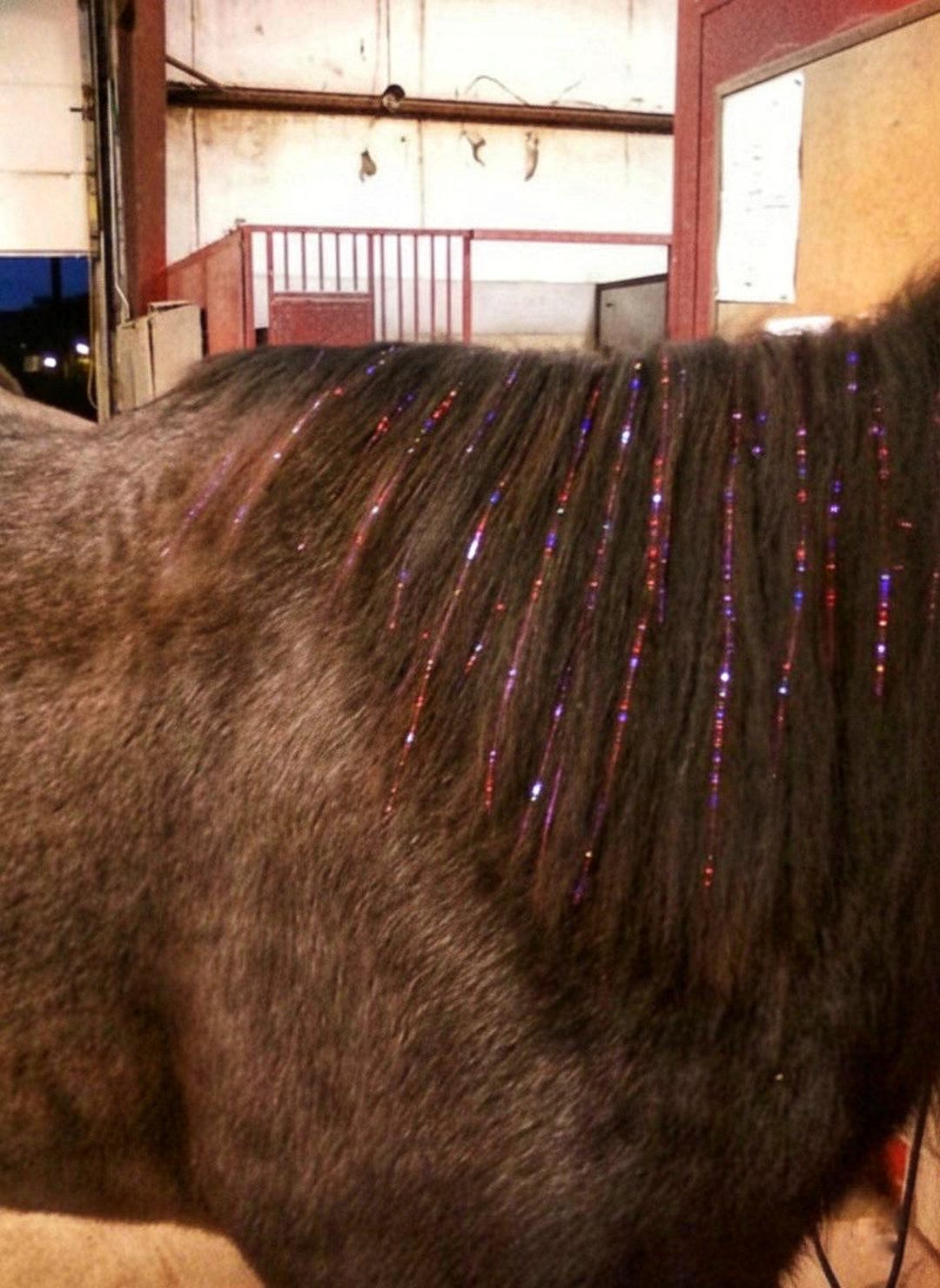 Horse Mane Tinsel, Sparkling Pony Hair Glitz, Western Bridal Accessory ...