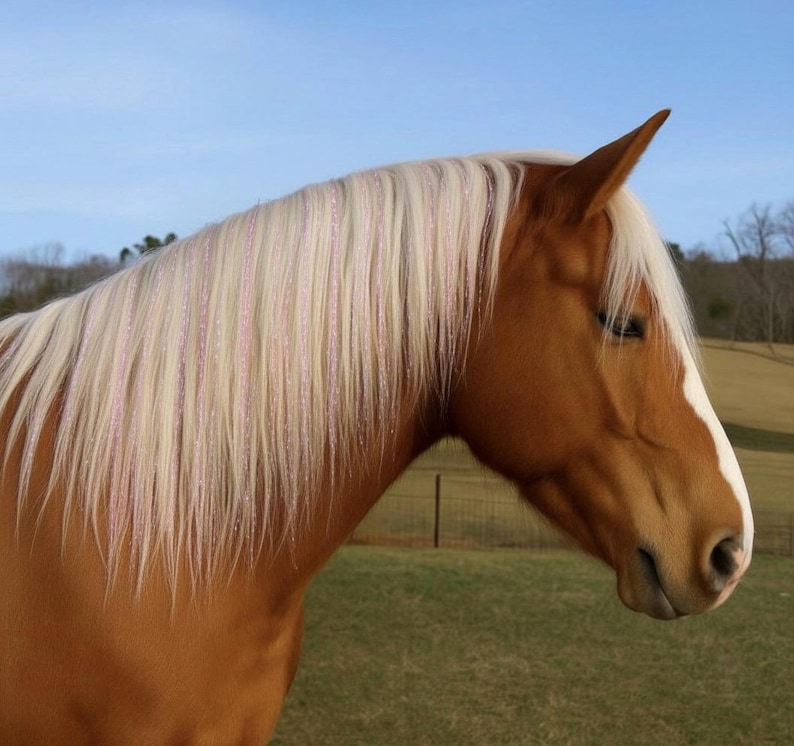 Sparkling Pony Hair Tinsel – Mane & Tail Bling for Western Brides and ...