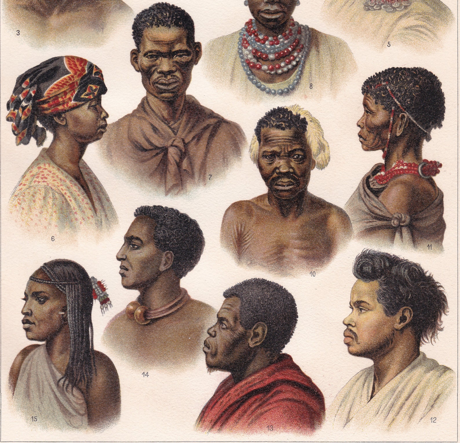 1890 AFRICA PEOPLE Arabs Fellah Kopt Buschmаn and Others Lithograph ...
