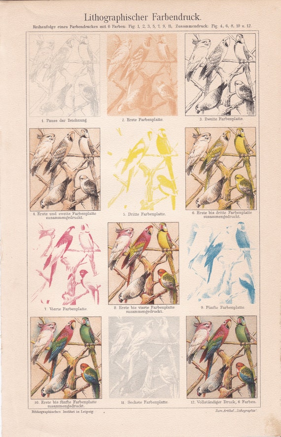 Old Lithograph Prints