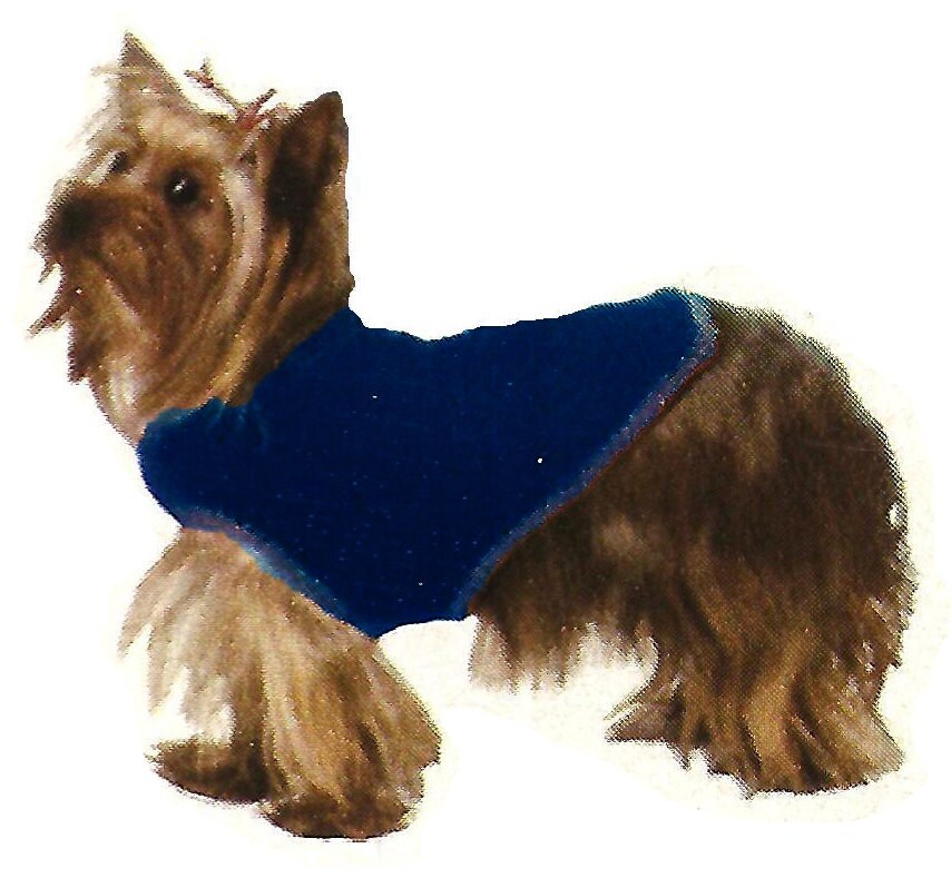 PDF Small Dog Yorkie Terrier Crochet Sweater Pattern Instructions C78 ...