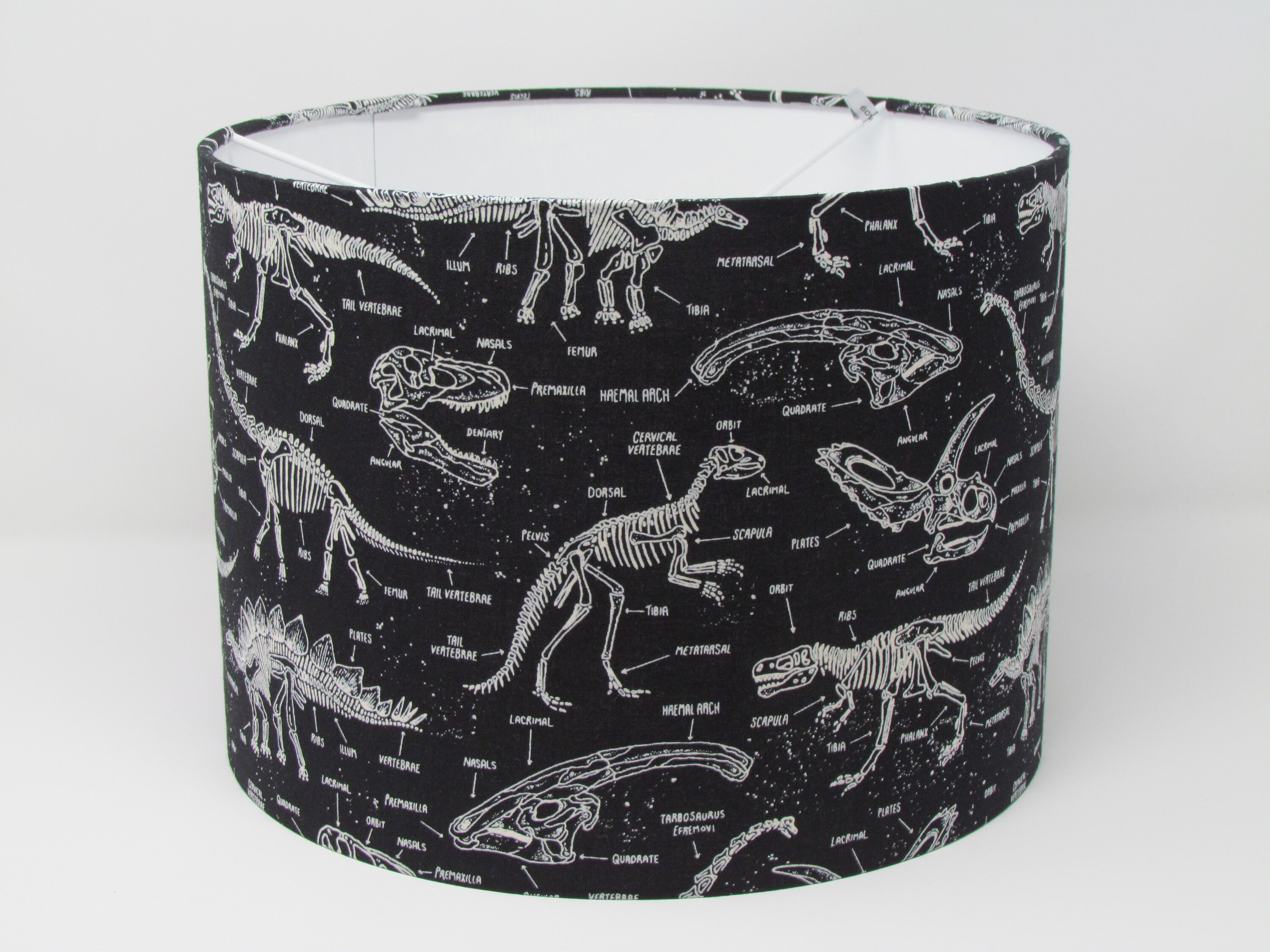 Dinosaur lampshade store