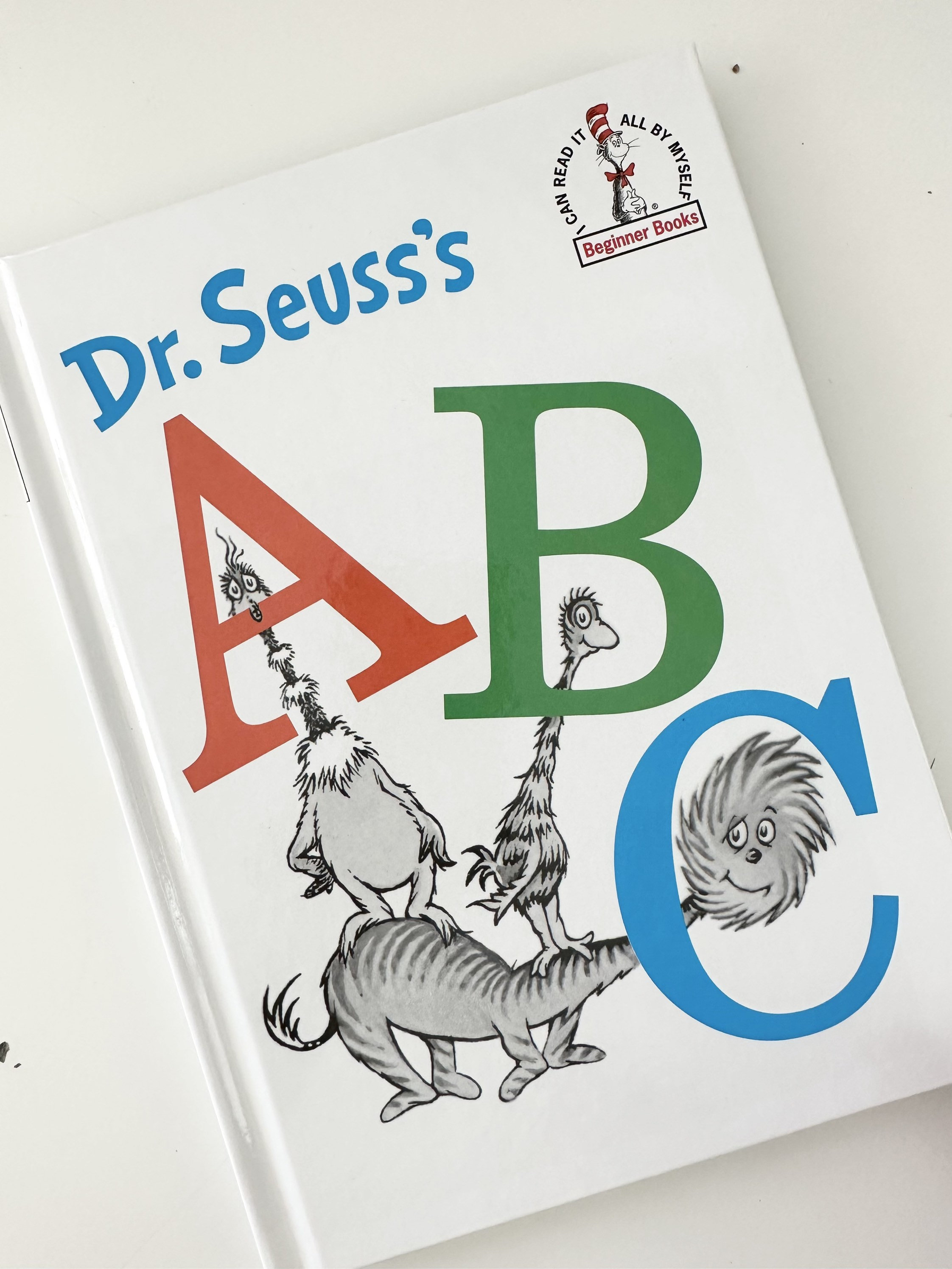 Dr Seusss ABC Book Page Banner Bunting Garland Dr Seuss Decor - Etsy