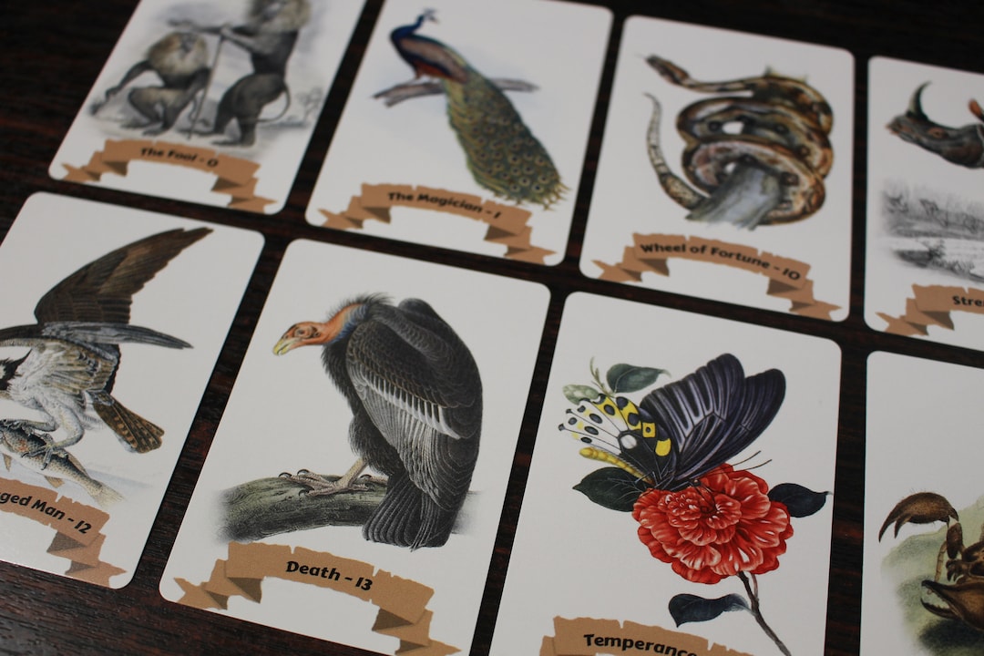 Tarot Card Deck With Vintage Animal Art Biological Drawings of Birds ...